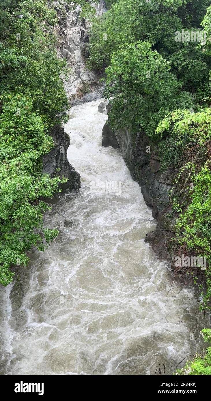 Mountain stream in the Alps after a rain fall Stock Photo - Alamy