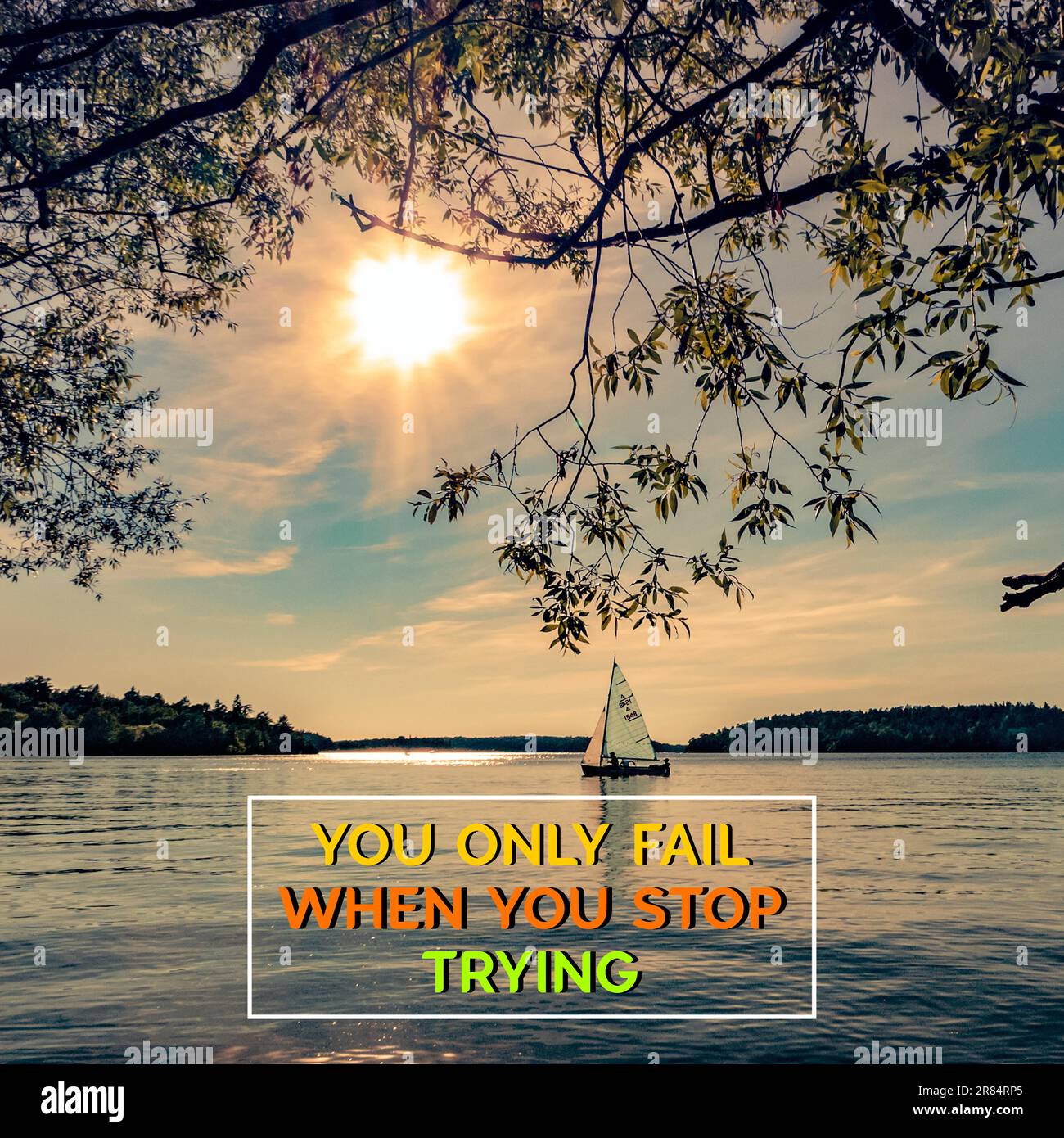 Daily motivational quotes Stock Vector Images - Alamy