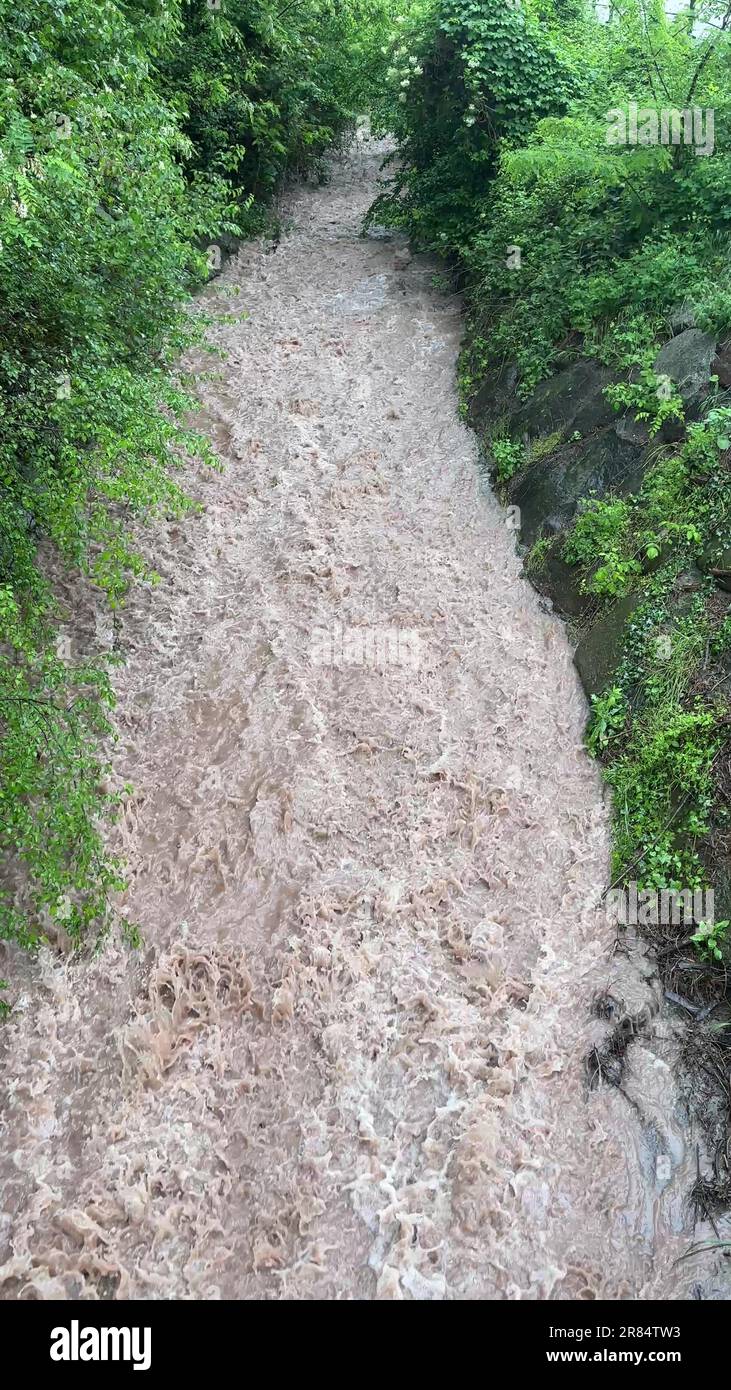 Mountain stream in the Alps after a rain fall Stock Photo - Alamy