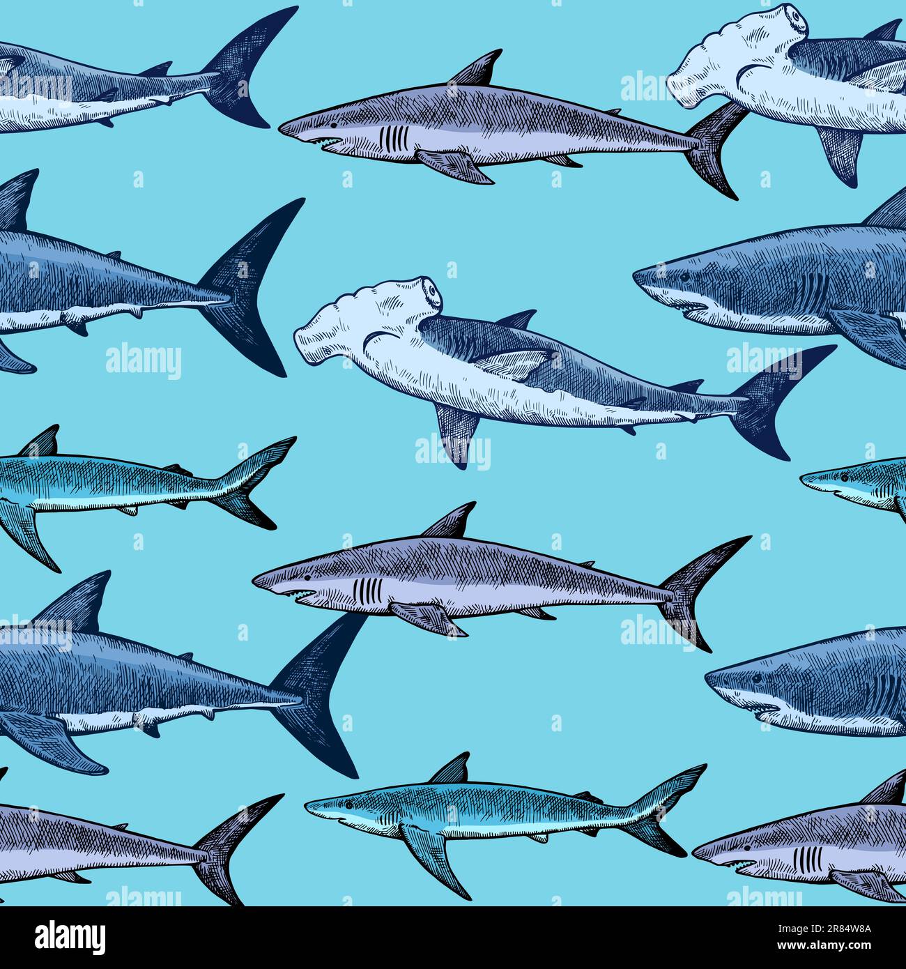 Seamless pattern with various sharks, great white shark, hammerhead ...