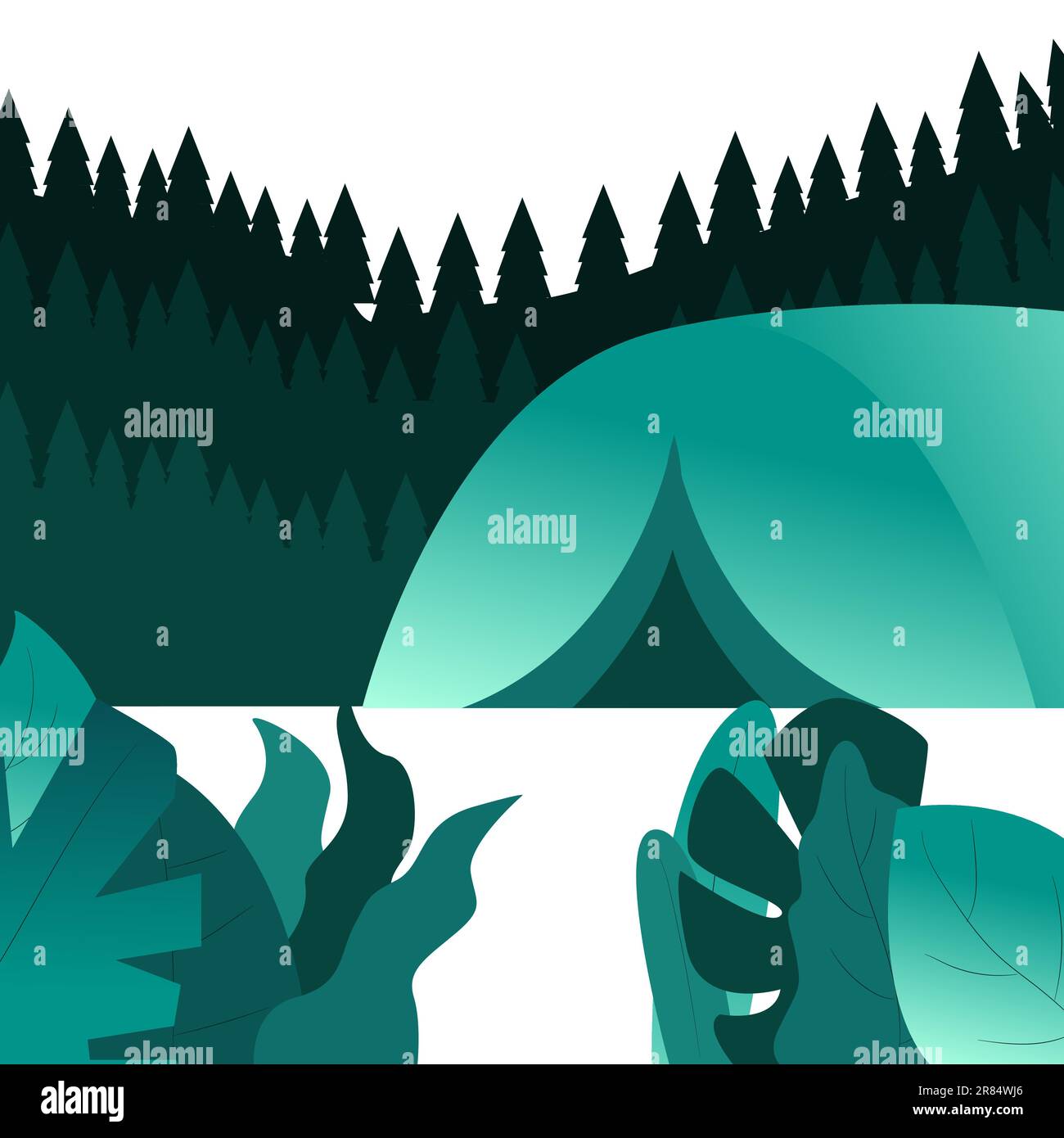 forest nature environment green tree adventure outdoor and camping tent hike recreation explore ...