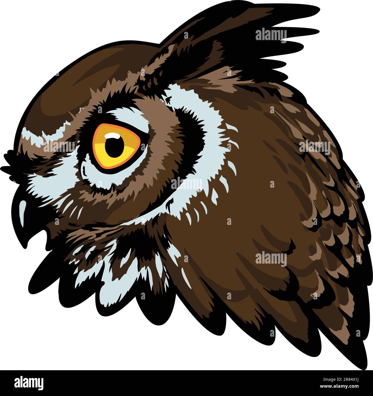 Owl Face Illustration