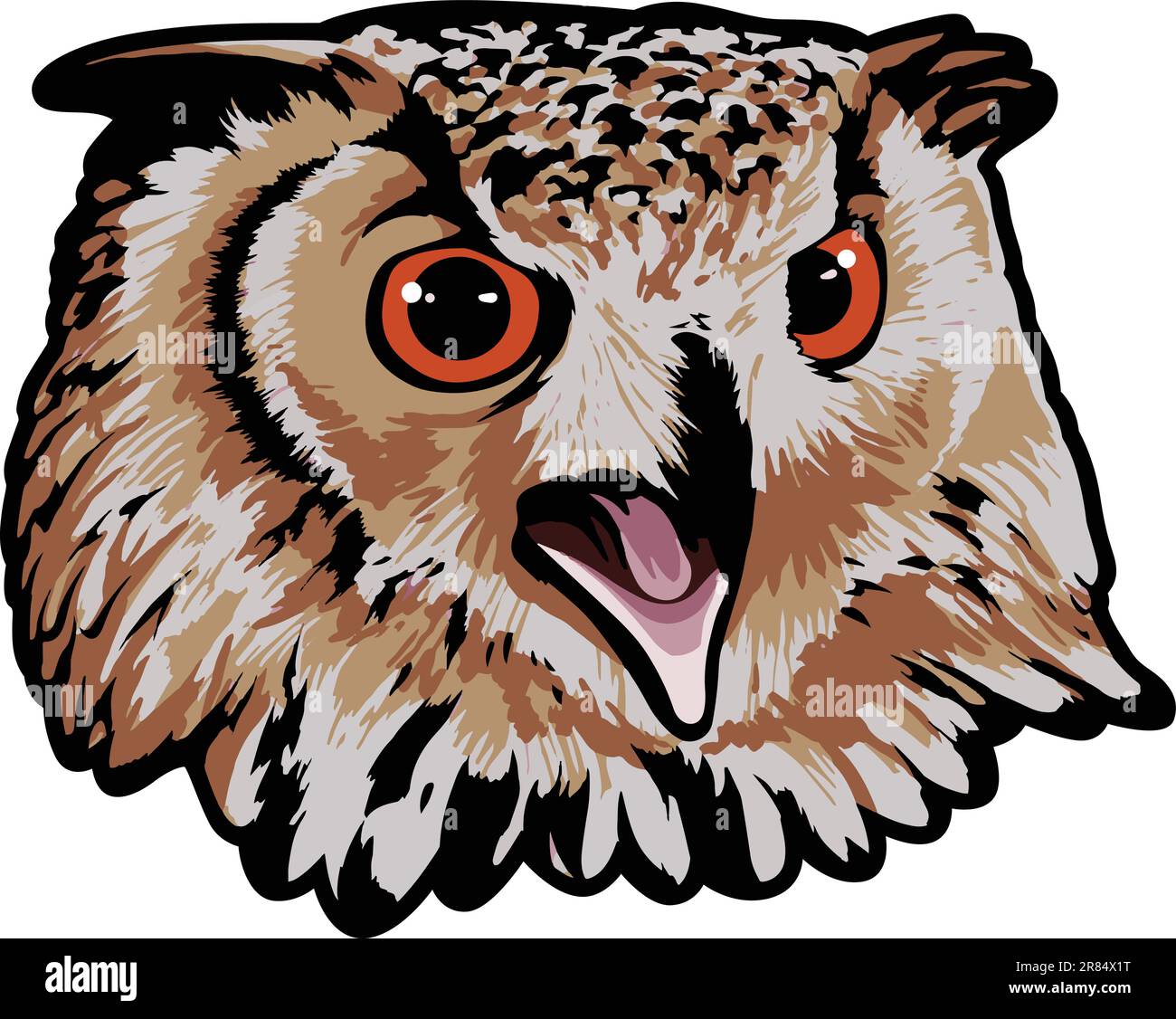 Owl Face Illustration