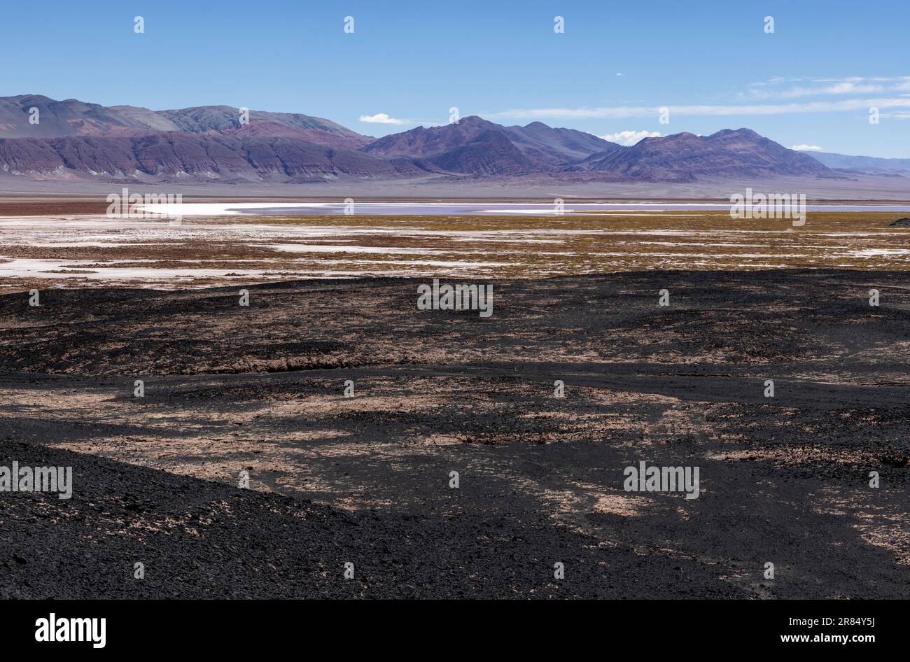 Puna - off road adventure through a bizarre but beautiful landscape ...