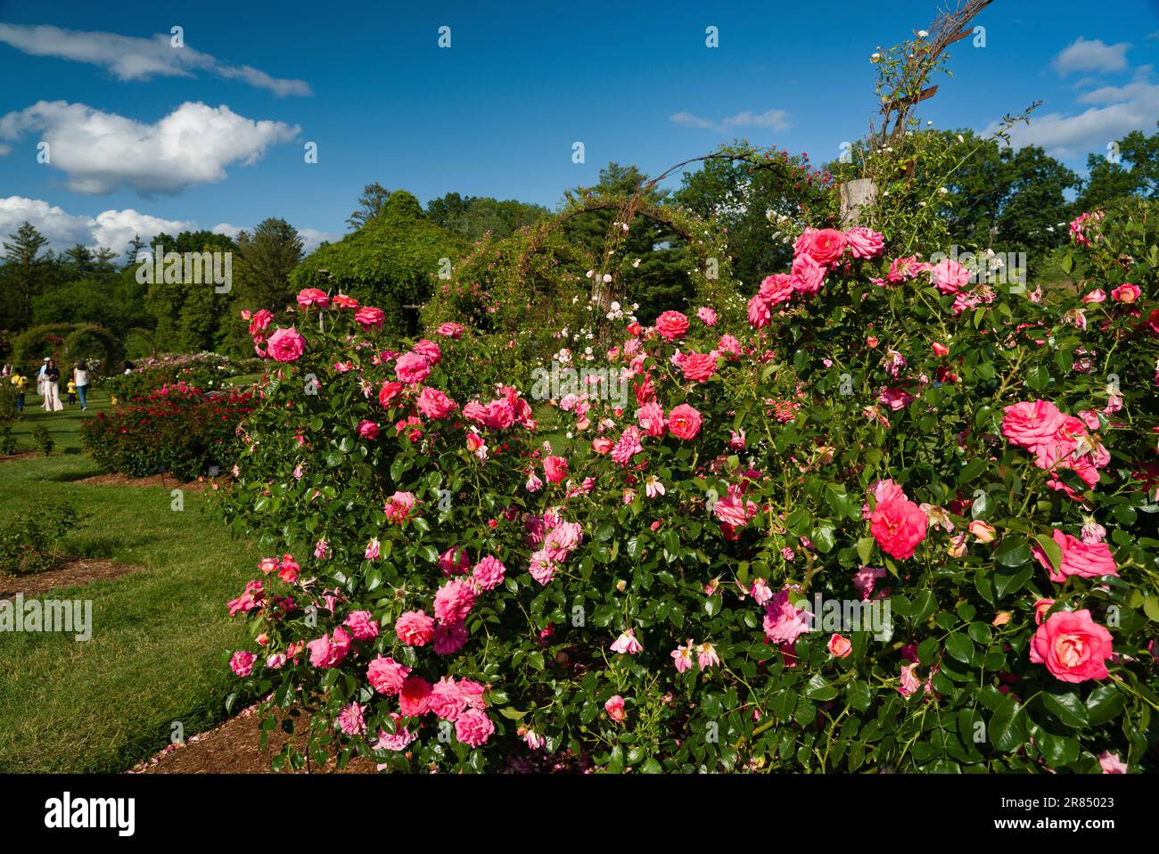 Elizabeth Park Hartford, Connecticut, USA Stock Photo - Alamy