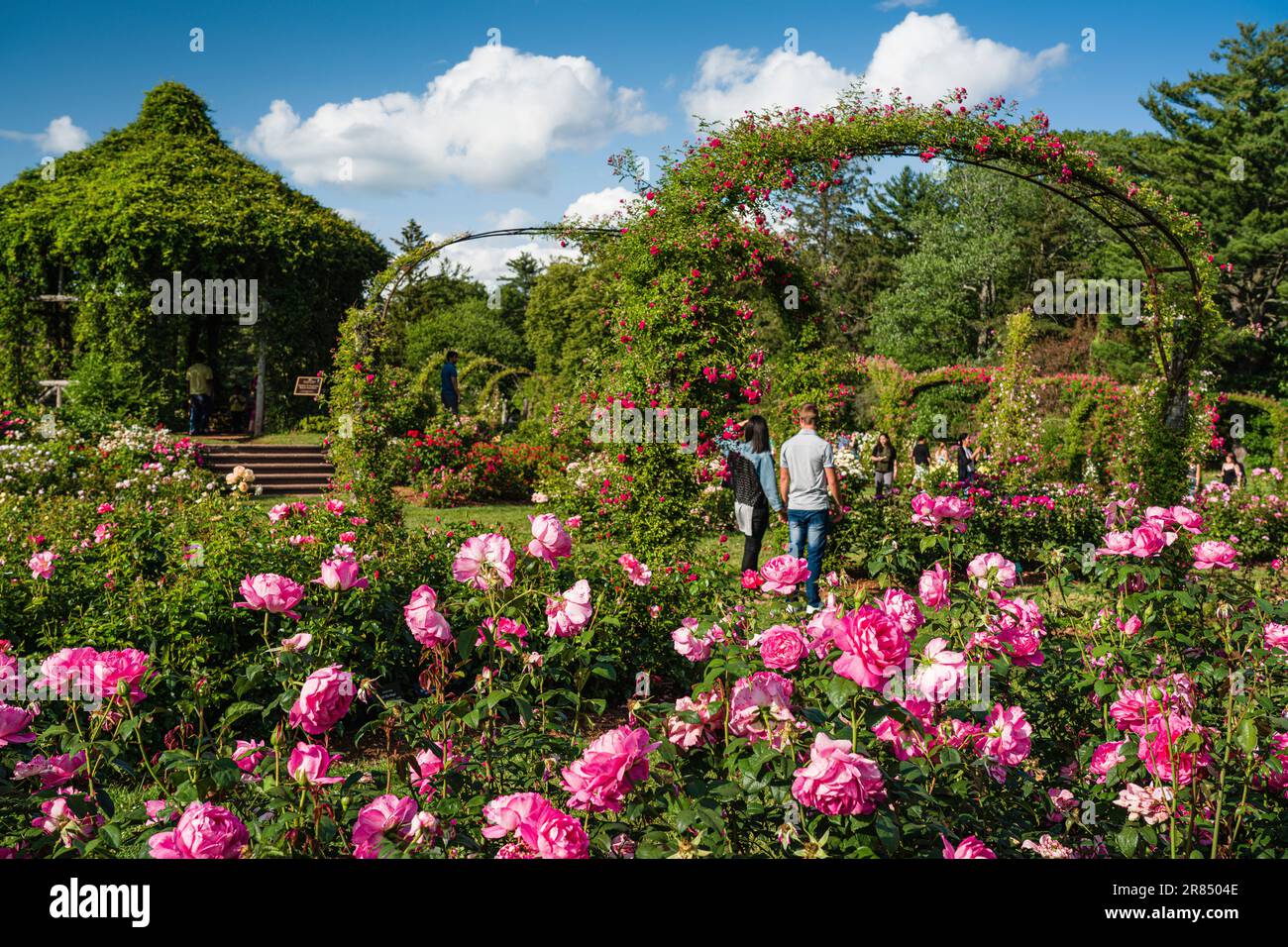 Elizabeth Park Hartford, Connecticut, USA Stock Photo - Alamy