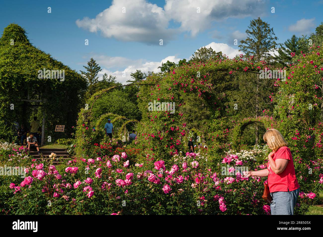 Elizabeth Park Hartford, Connecticut, USA Stock Photo - Alamy