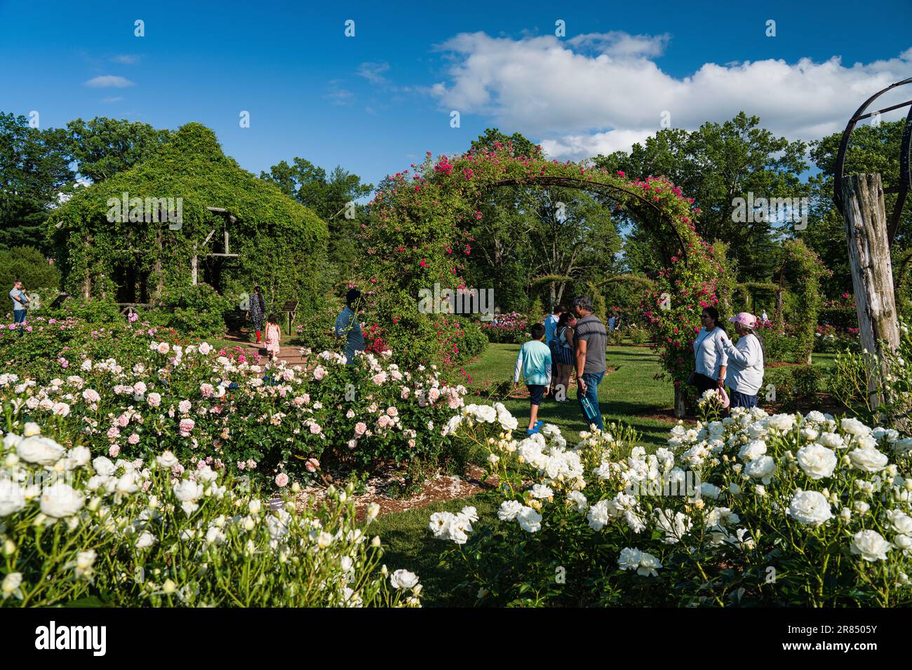Elizabeth Park Hartford, Connecticut, USA Stock Photo - Alamy