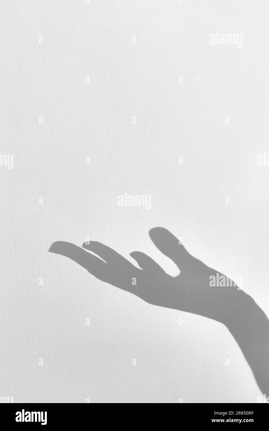 Shadow silhouette of hand palm up over, holding imaginary object, copy ...