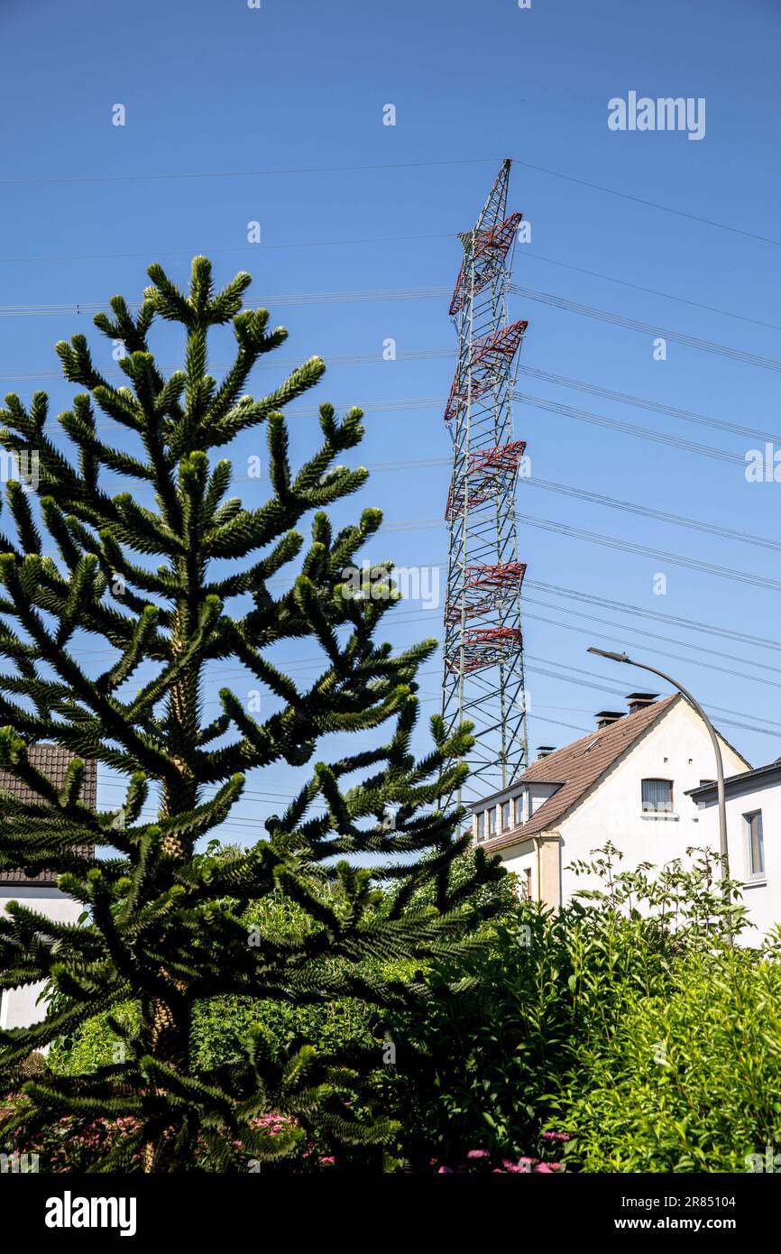 high-voltage pylons in Herdecke with 380-kilovolt line with pylons up ...