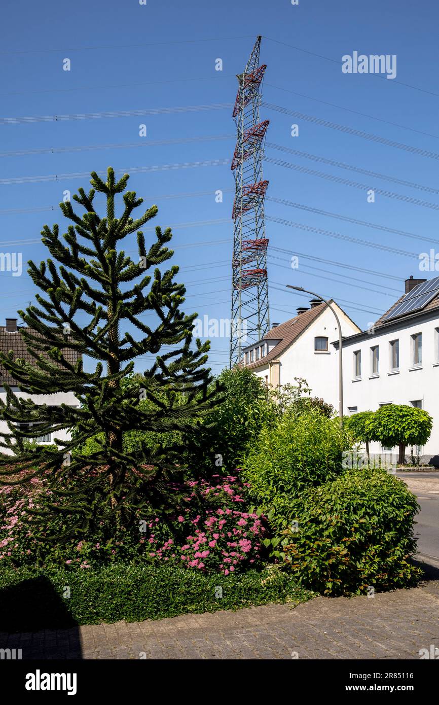 high-voltage pylons in Herdecke with 380-kilovolt line with pylons up ...