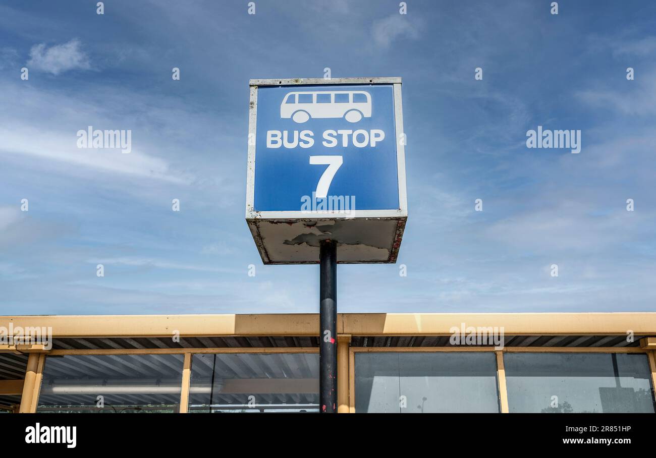 blue bus stop sign against a blue sky at Airport, Shuttle Bus Stock ...