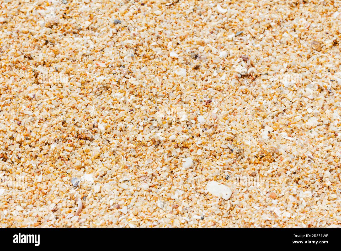 Sand texture,selective focus, copy space. Sandy beach for background ...