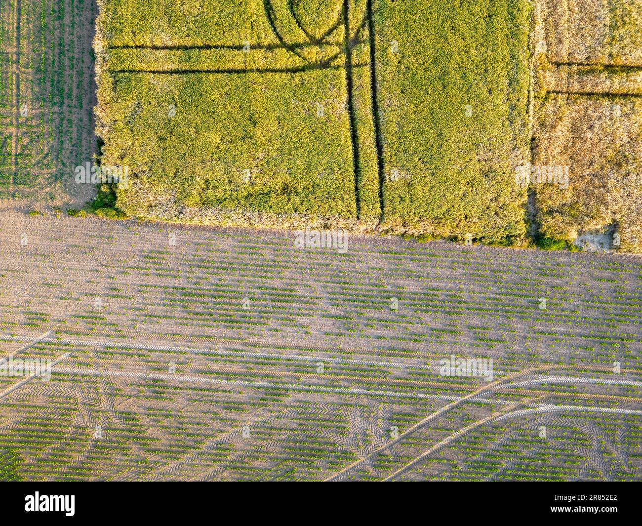 Geometric shapes agricultural parcels in hi-res stock photography and ...