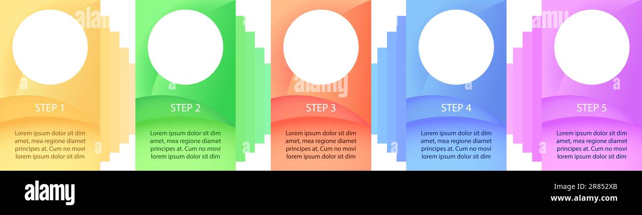 Professional achievement infographic chart design template Stock Vector ...