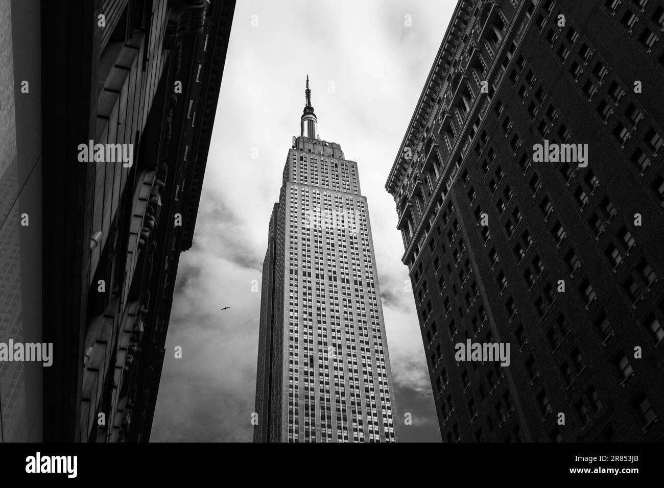 A low angle shot of the Empire State building of New York City, USA in ...