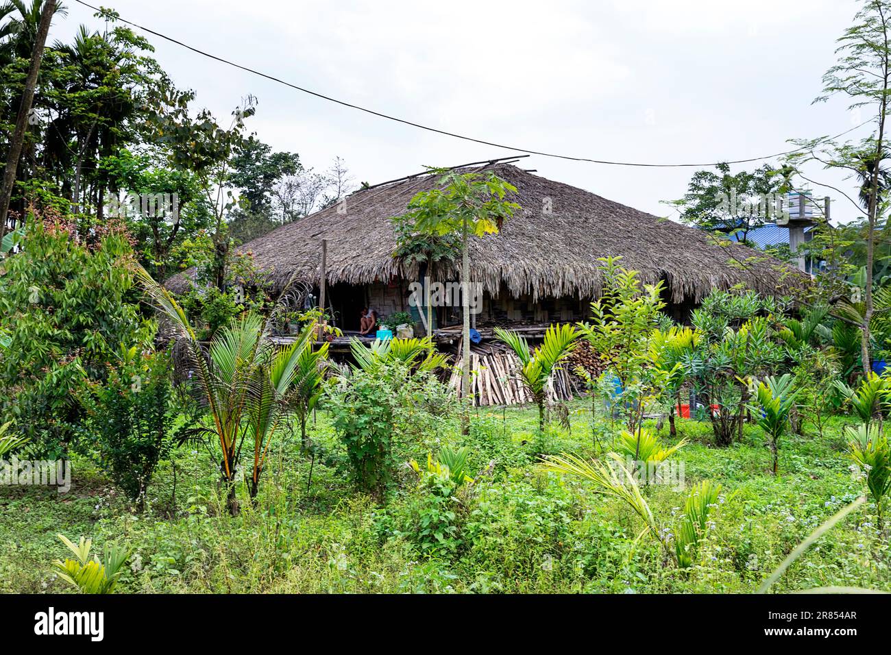 Traditional wooden house of Adi Minyong tribe with lush garden from ...