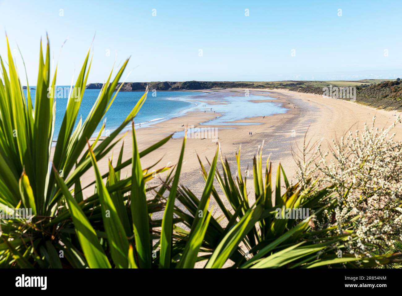 Tenby beach, Tenby, Pembrokeshire, Wales, Tenby Wales, Tenby UK, UK ...