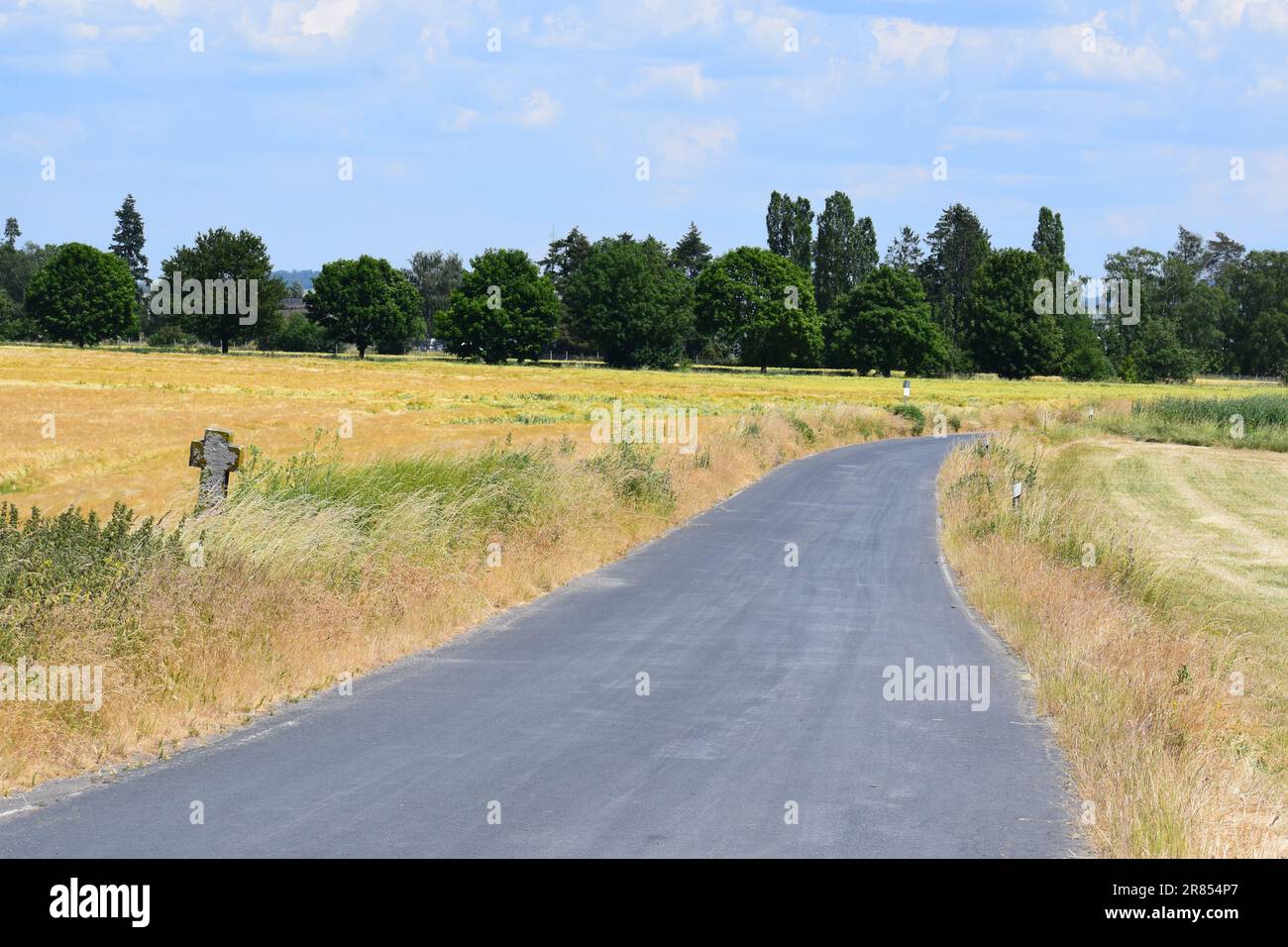 Country road surrounded by grain fields Stock Photo - Alamy