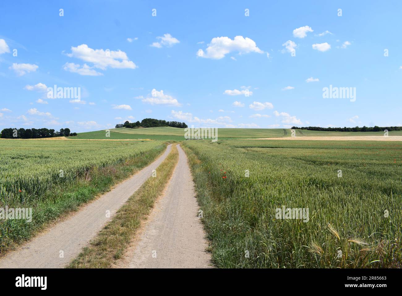 Road through fields wind hi-res stock photography and images - Alamy