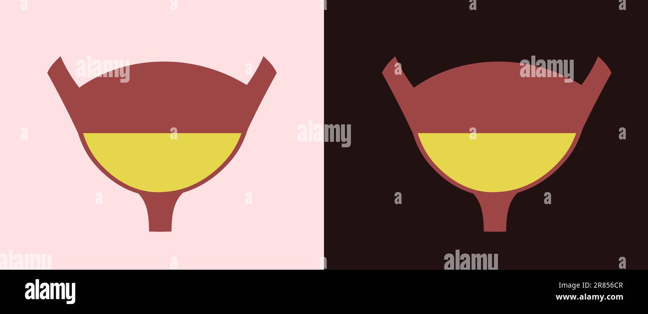 Simple minimalistic illustration of urinary bladder full of urine on ...