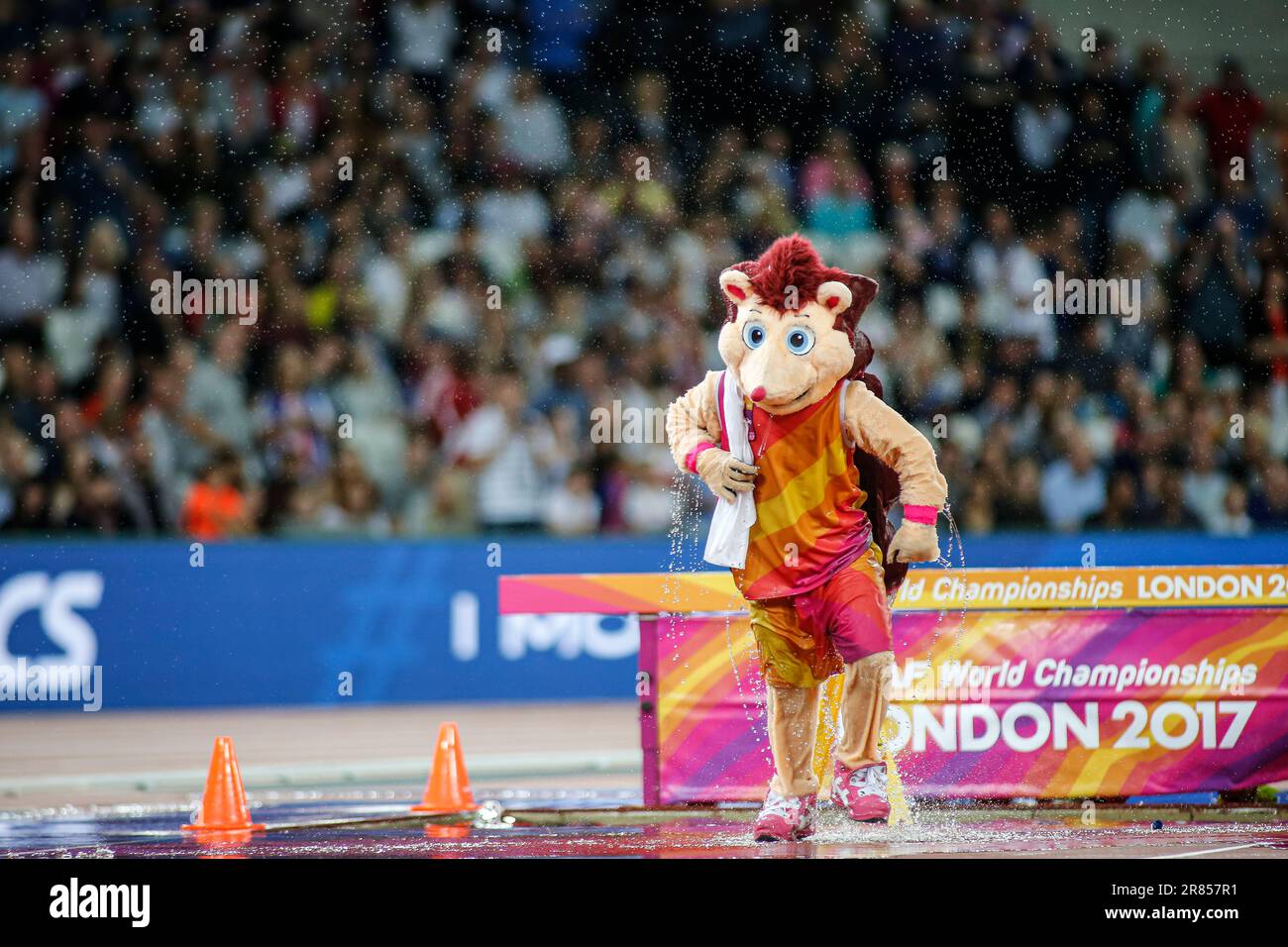 Hero The Hedgehog Mascot London 2017 World Athletics Championships 2017 ...