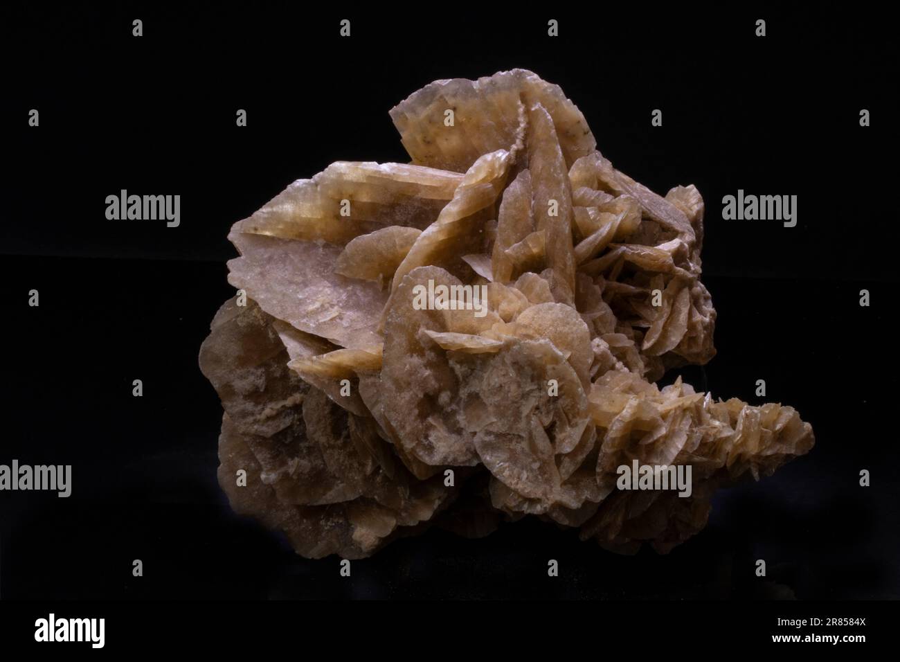 Desert rose mineral Stock Photo - Alamy