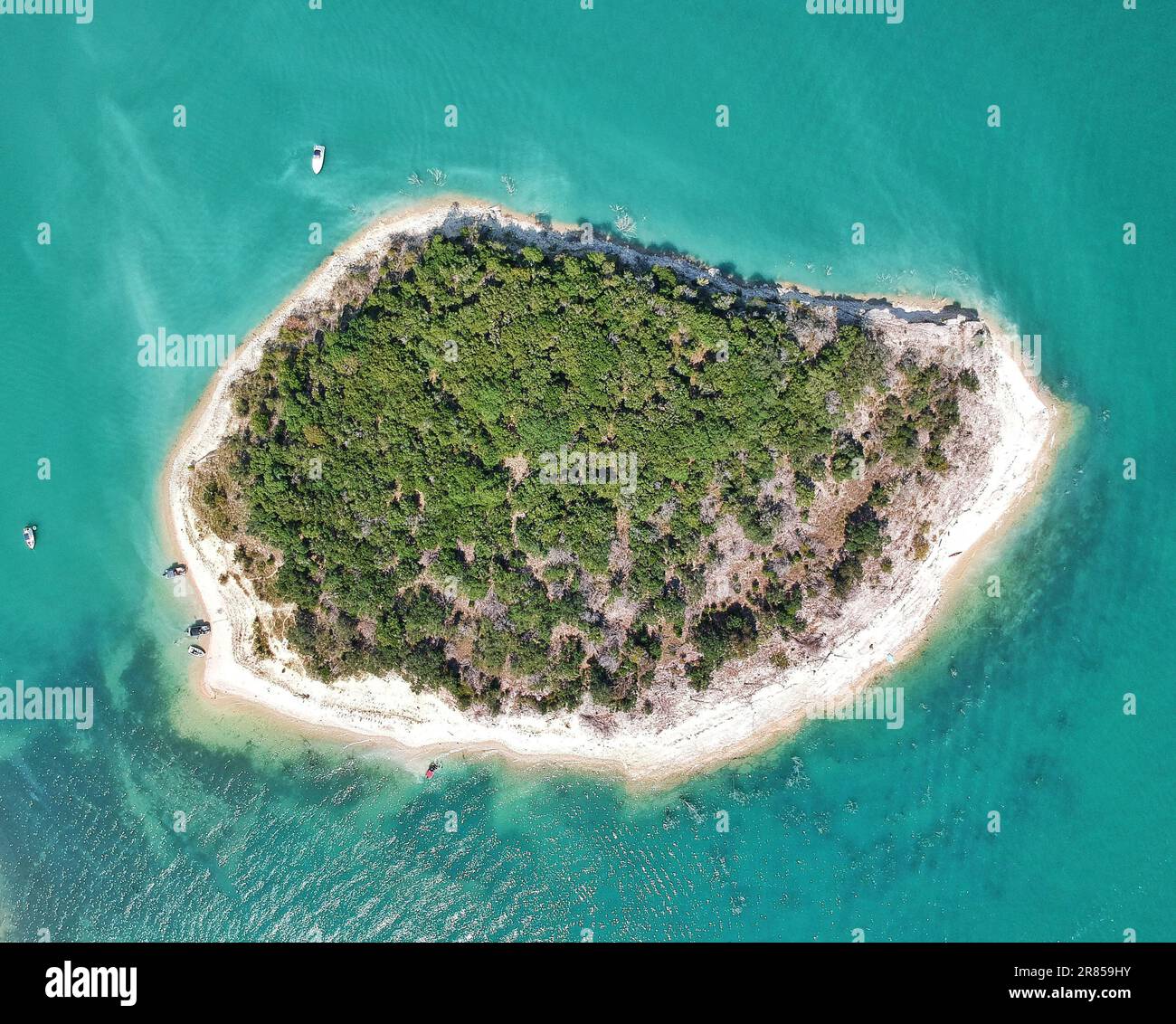 An island surrounded by dense trees Stock Photo - Alamy