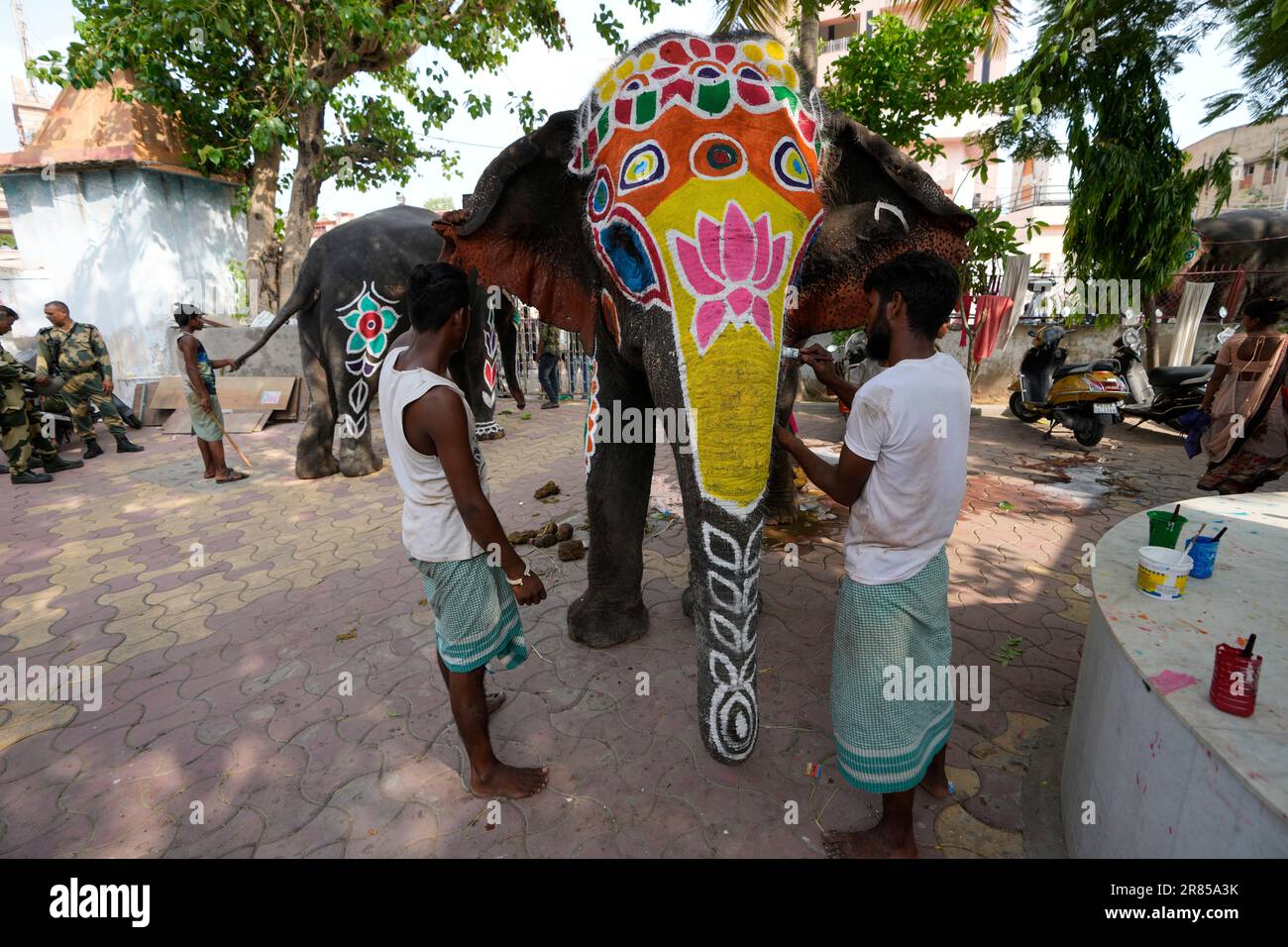 A man paints decorative motifs on an elephant in preparation of the ...