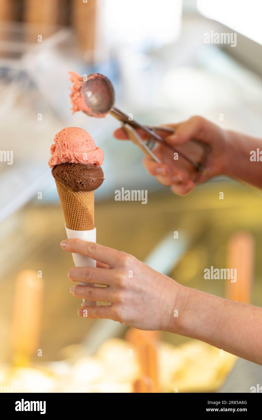 Close-up of a woman preparing and ice cream with two flavors Stock ...