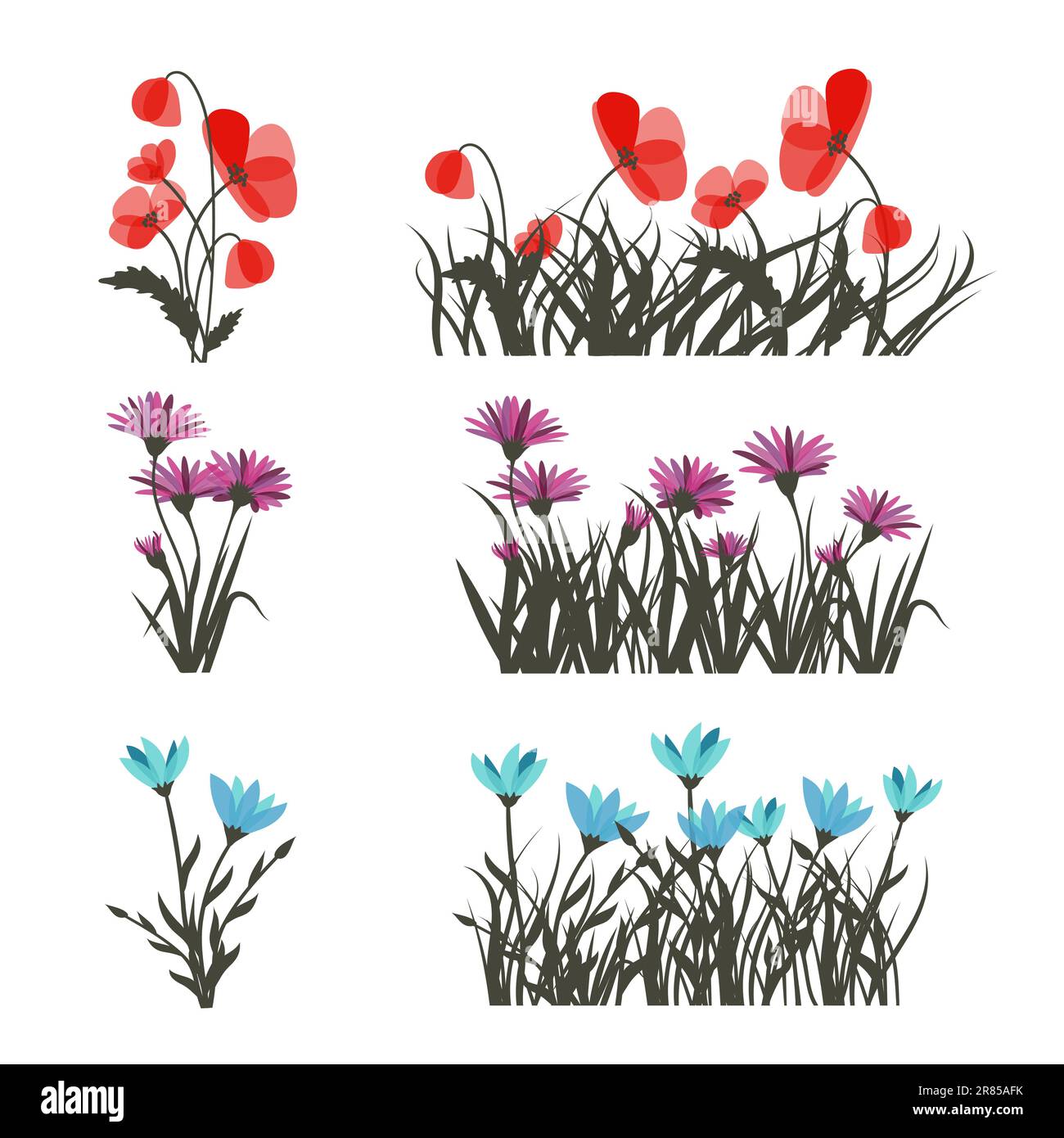 Set of spring garden flowers isolated on white. Vector floral elements ...