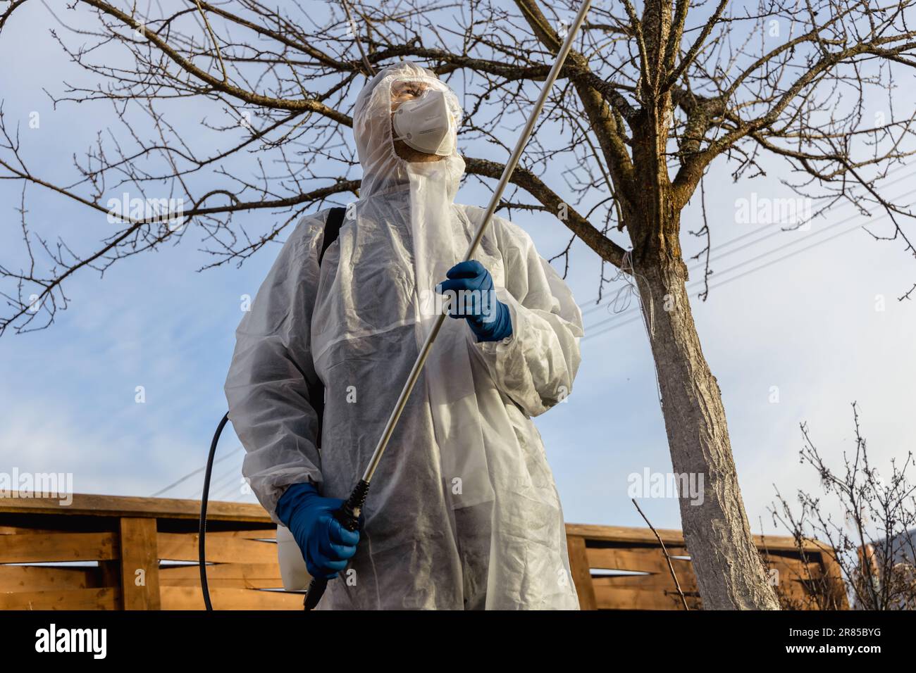 Using chemicals in the garden orchard gardener applying an insecticide ...
