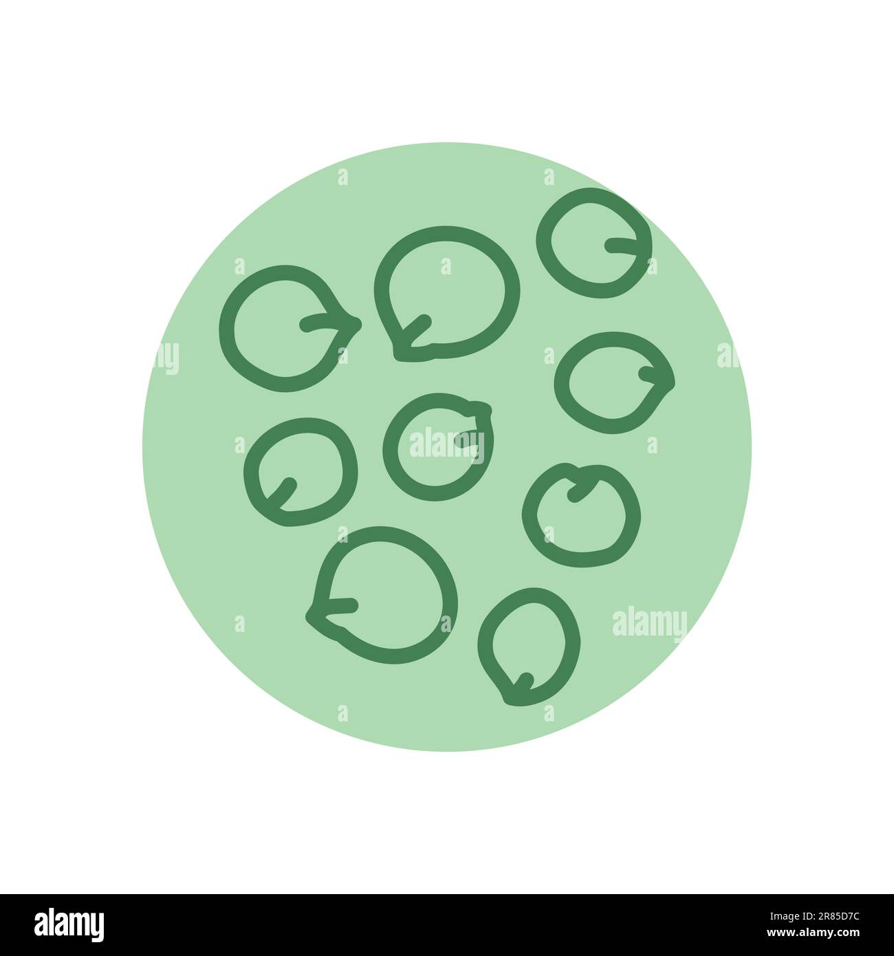 Quinoa cereals black line icon. Natural organic super food. Pictogram ...