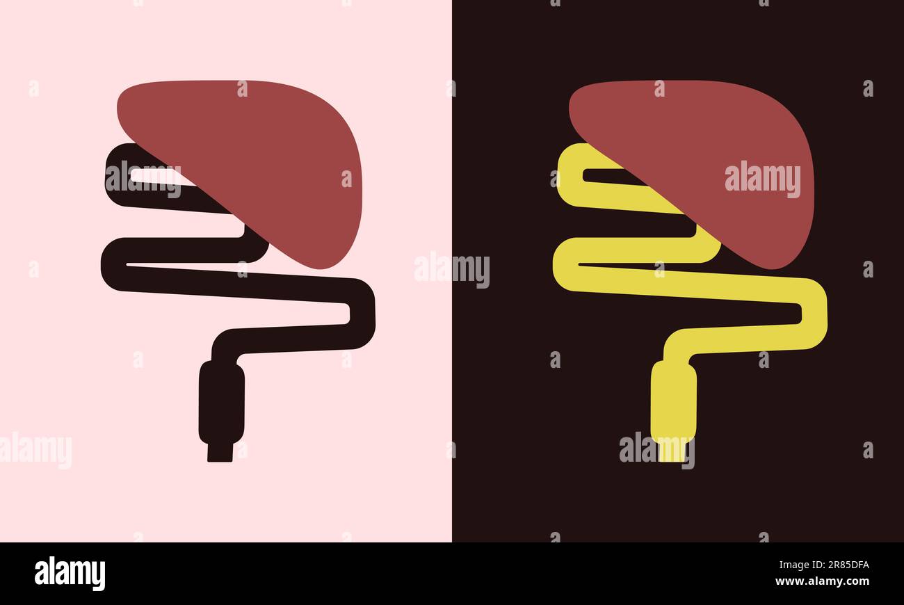 Flat simple style minimal illustration of human liver and small ...