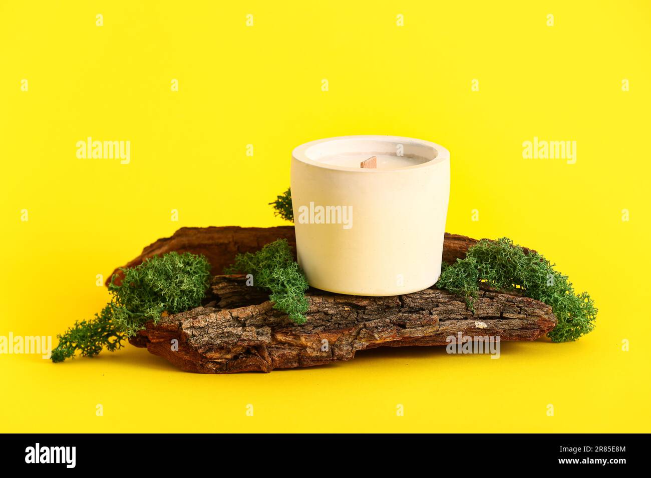Candle bark tree hi-res stock photography and images - Alamy