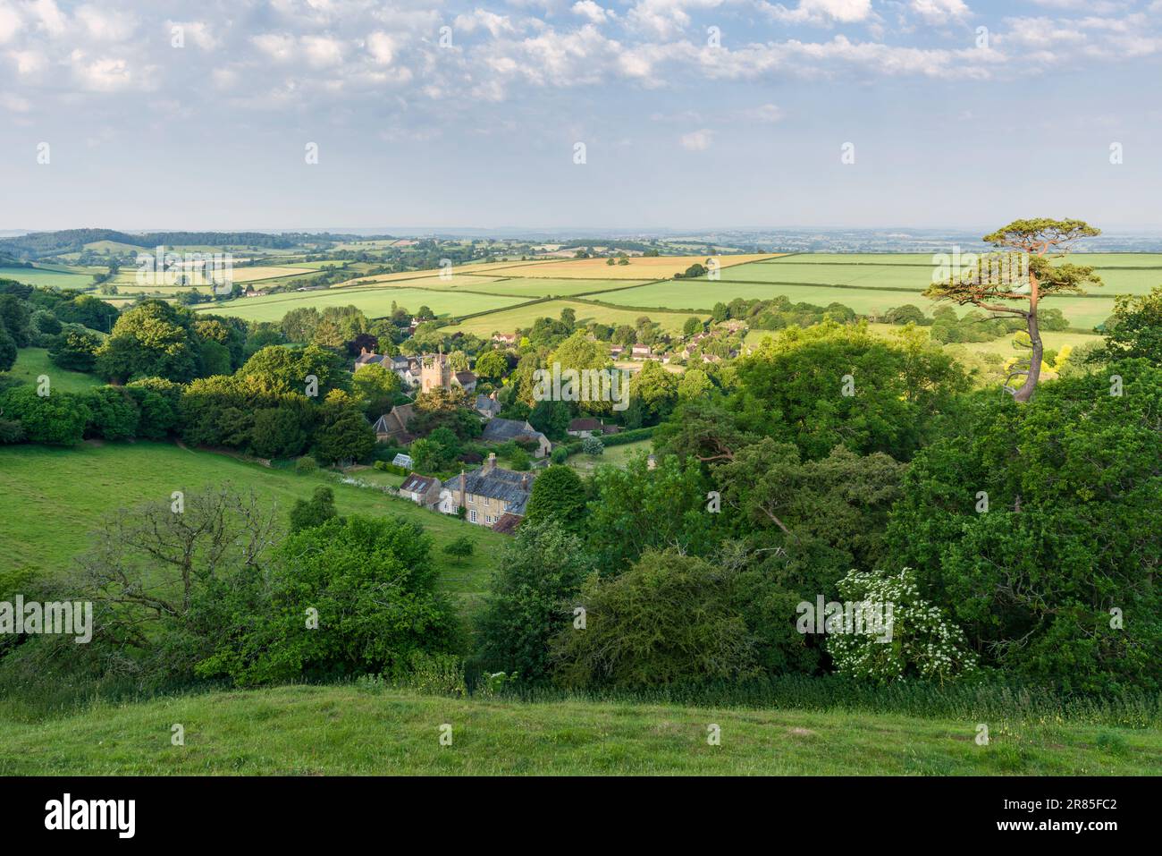 The village of Corton Denham from Corton Hill on a summer morning ...