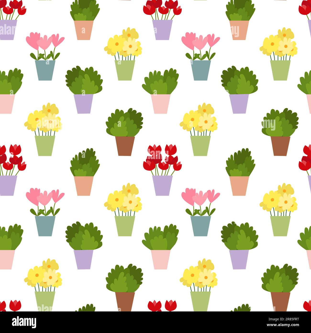 Various houseplants Stock Vector Images - Alamy