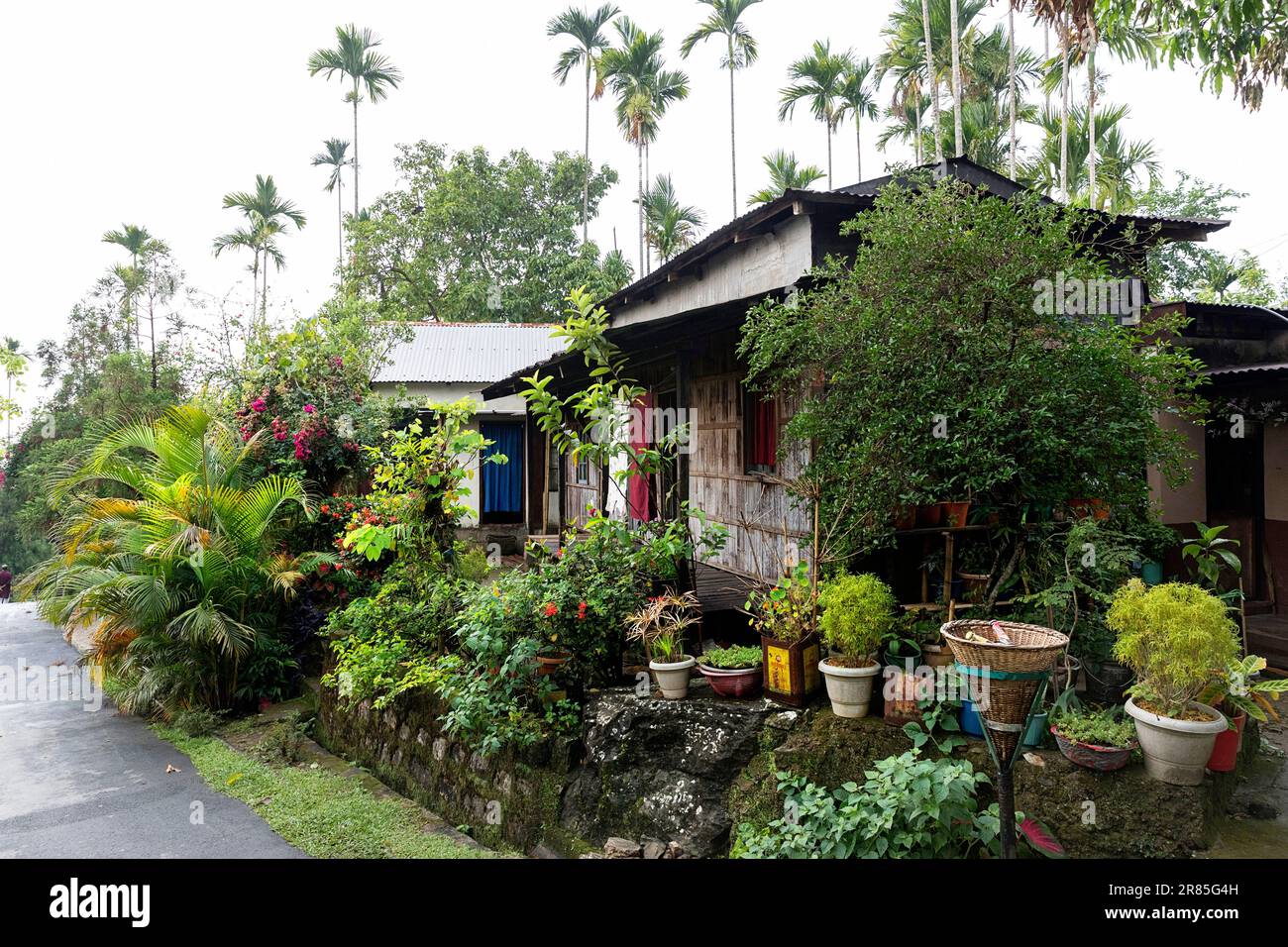 Cute typical house with lush garden in the cleanest village in Asia ...