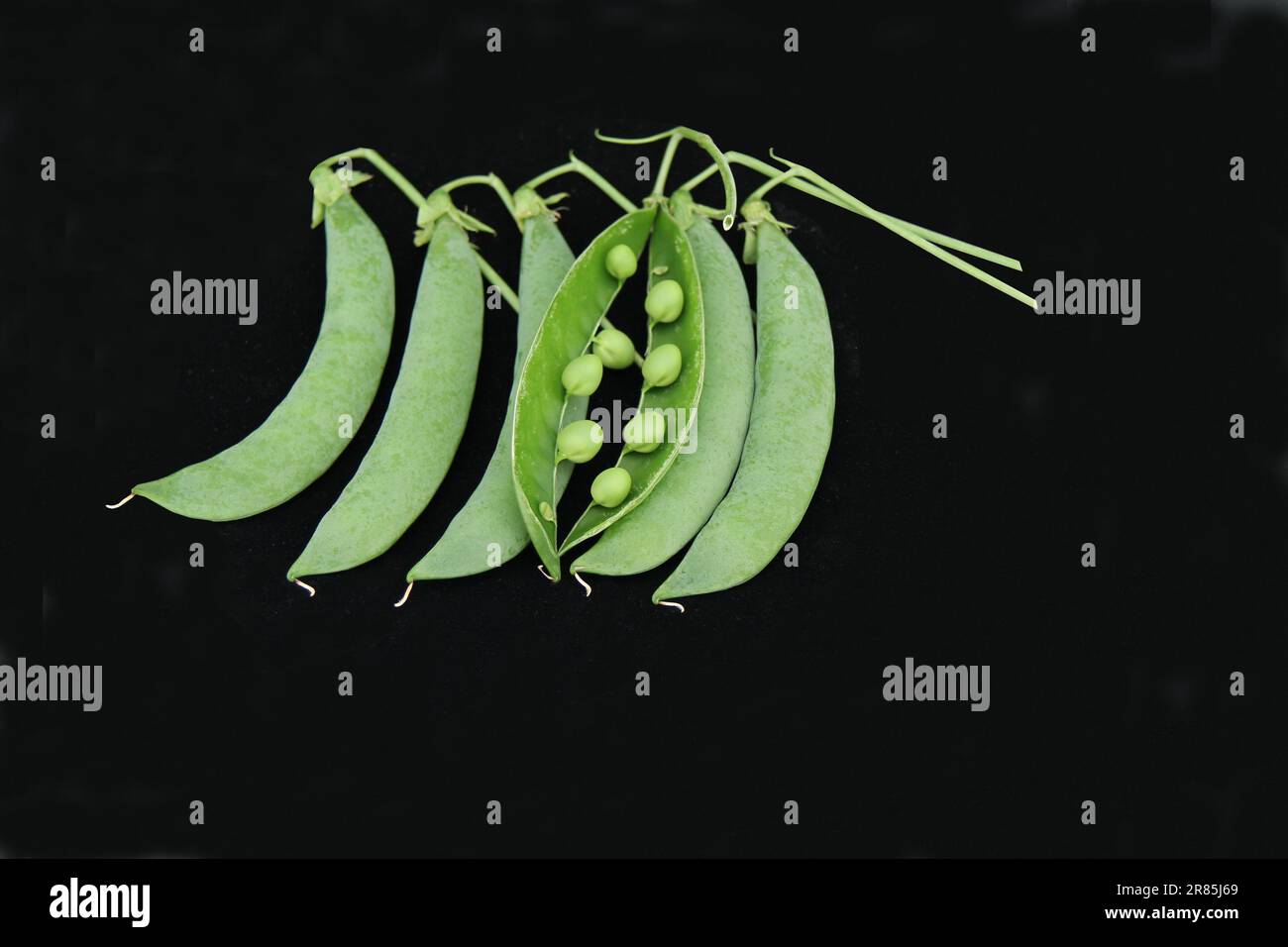 Pods display hi-res stock photography and images - Alamy