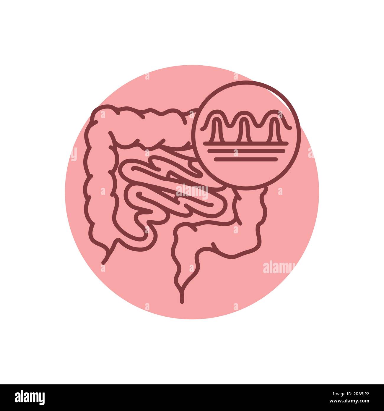Celiac intestine Stock Vector Images - Alamy