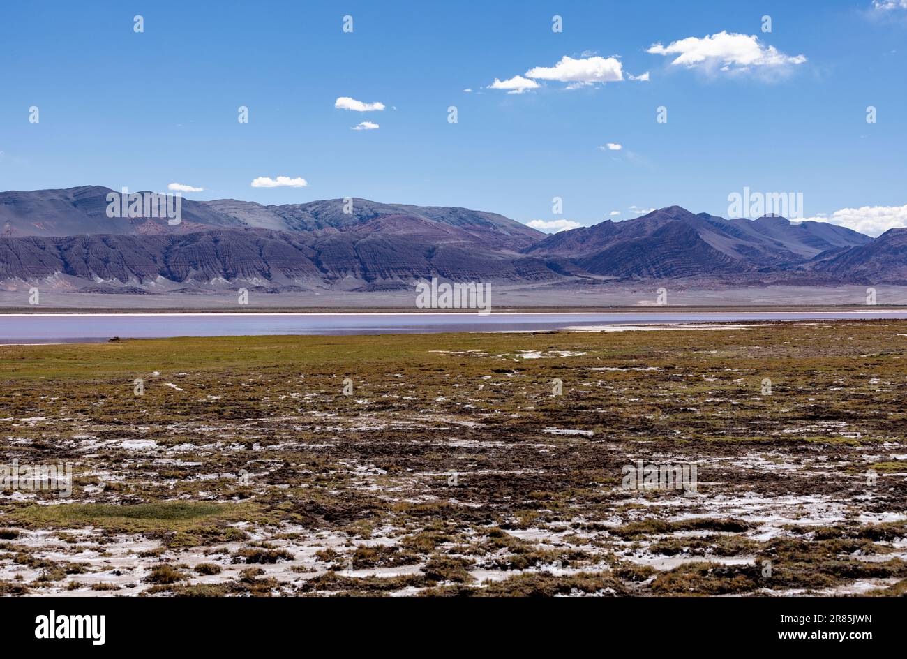 Argentina: Puna - off road adventure around Laguna Carachi Pampa, a ...