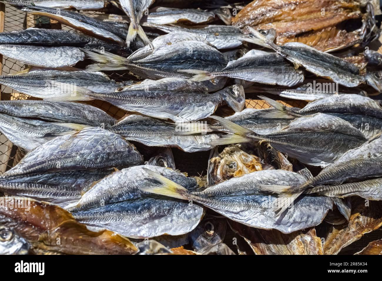 Nazare in Portugal, salted fishes sold on the beach, traditional market ...