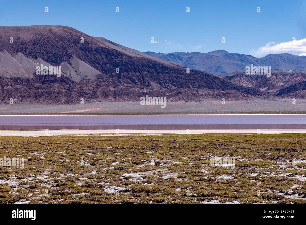 Argentina: Puna - off road adventure around Laguna Carachi Pampa, a ...