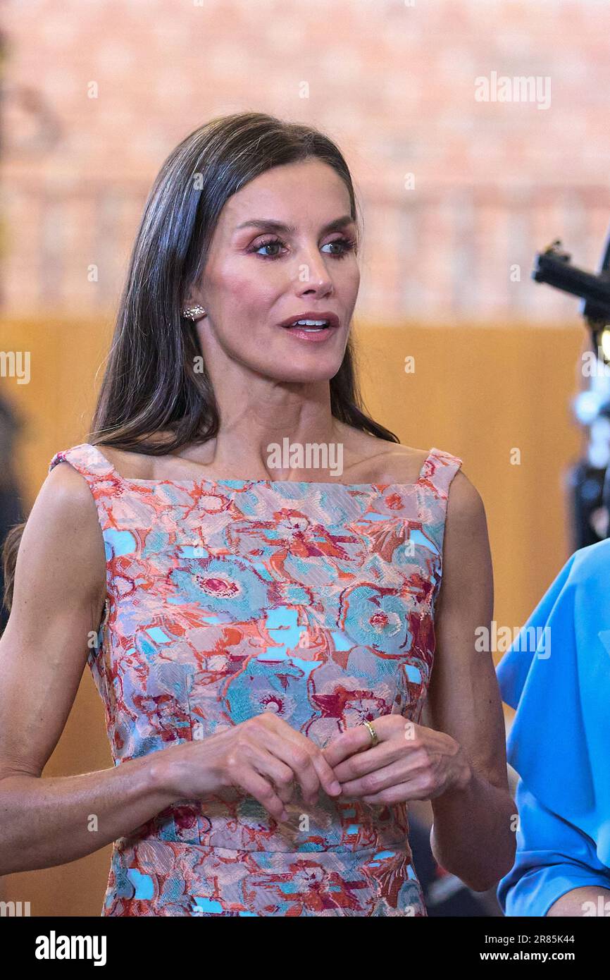 Spanish Queen Letizia during a visit to Escuelas Taller y Talleres de ...