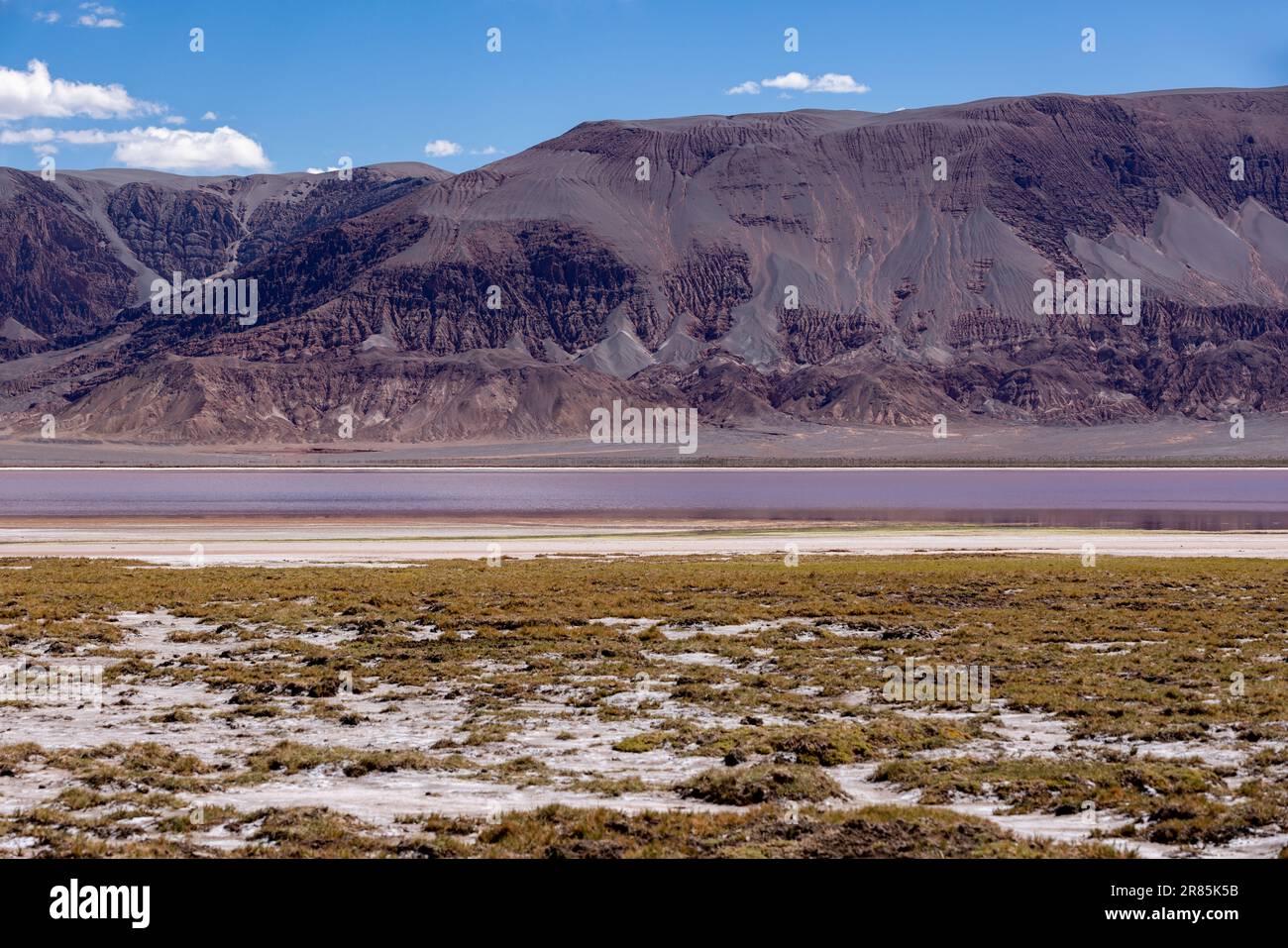 Volcan carachi pampa hi-res stock photography and images - Alamy