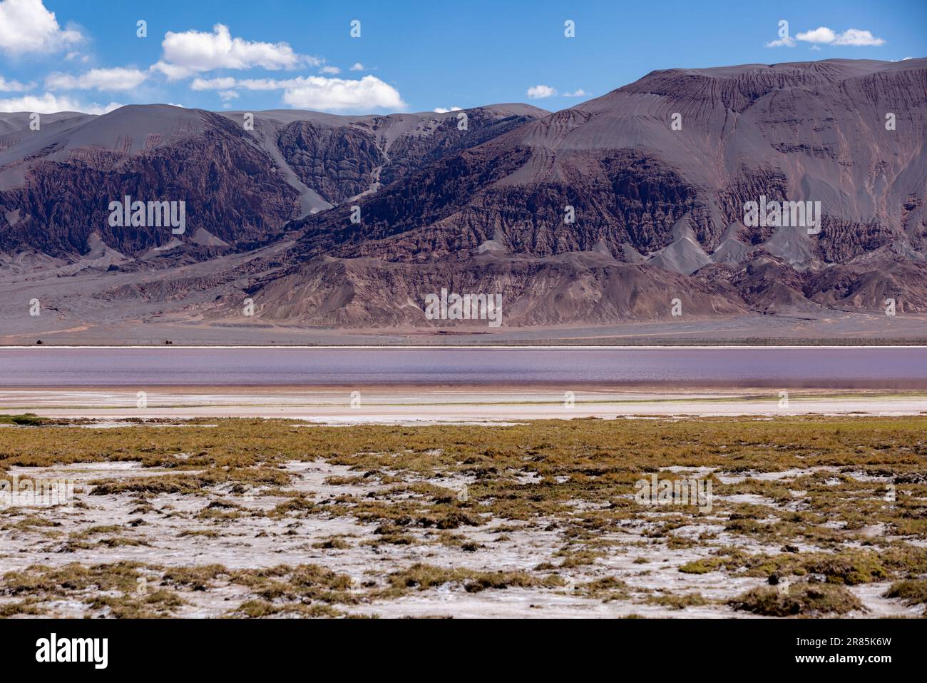 Volcan carachi pampa hi-res stock photography and images - Alamy