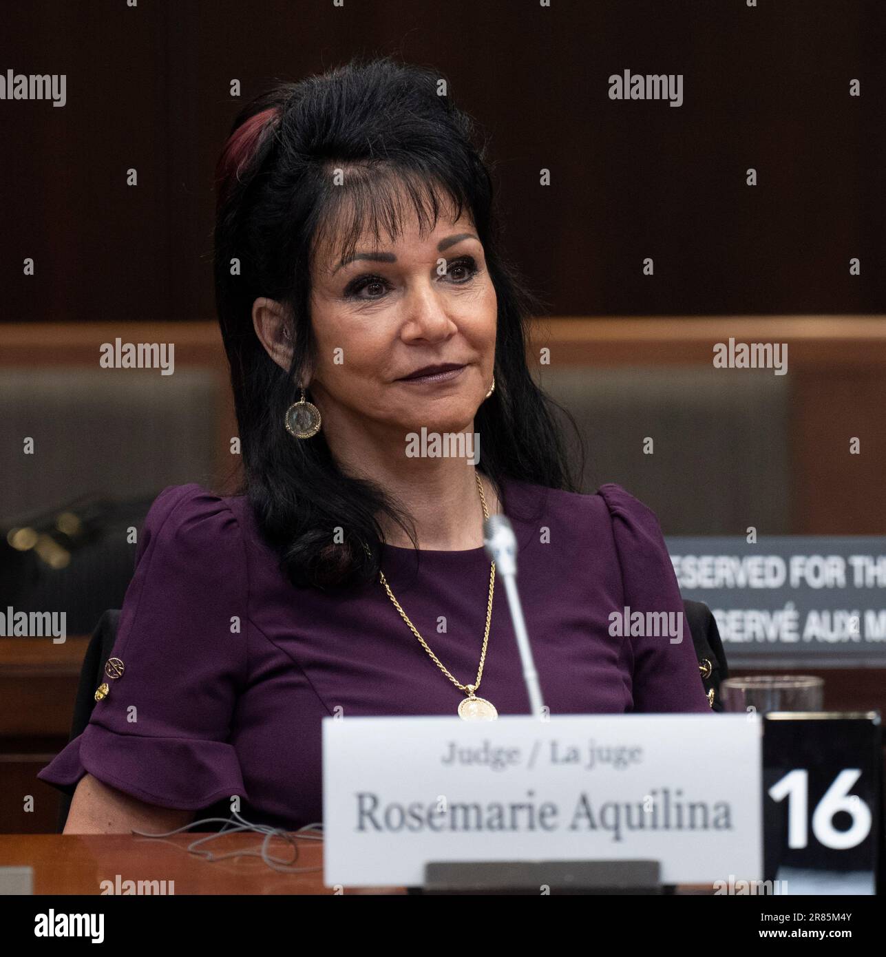 Michigan circuit court Judge Rosemarie Aquilina waits to appear at the ...
