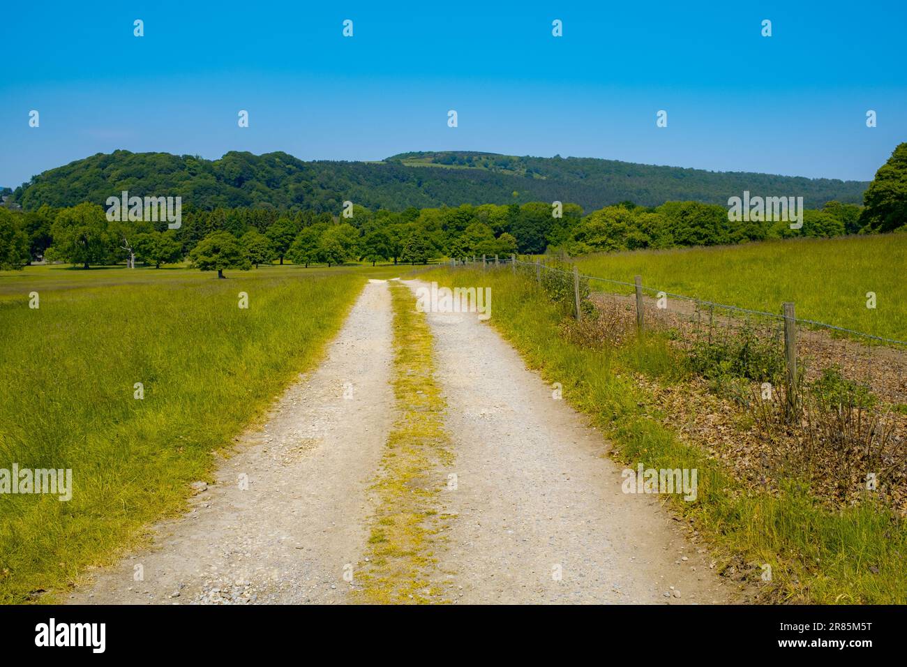 A picturesque path in a rural countryside setting surrounded by lush ...