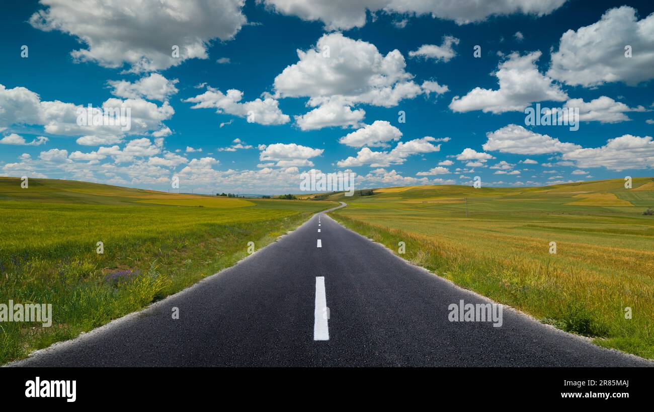 Road panorama outdoors in sunny summer day. Empty asphalt road going ...