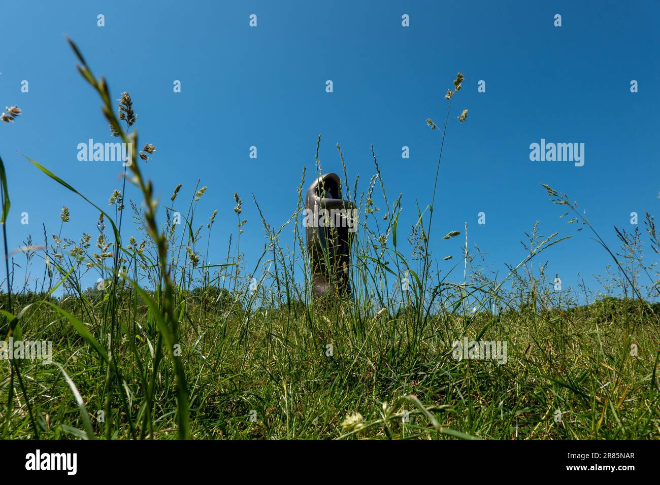 Henry Moore, 'Large Upright Internal/External Form' Henry Moore, Perry ...